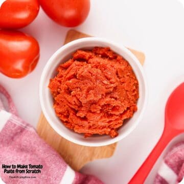 How to Make Tomato Paste from Scratch - theairfryingdiva.com